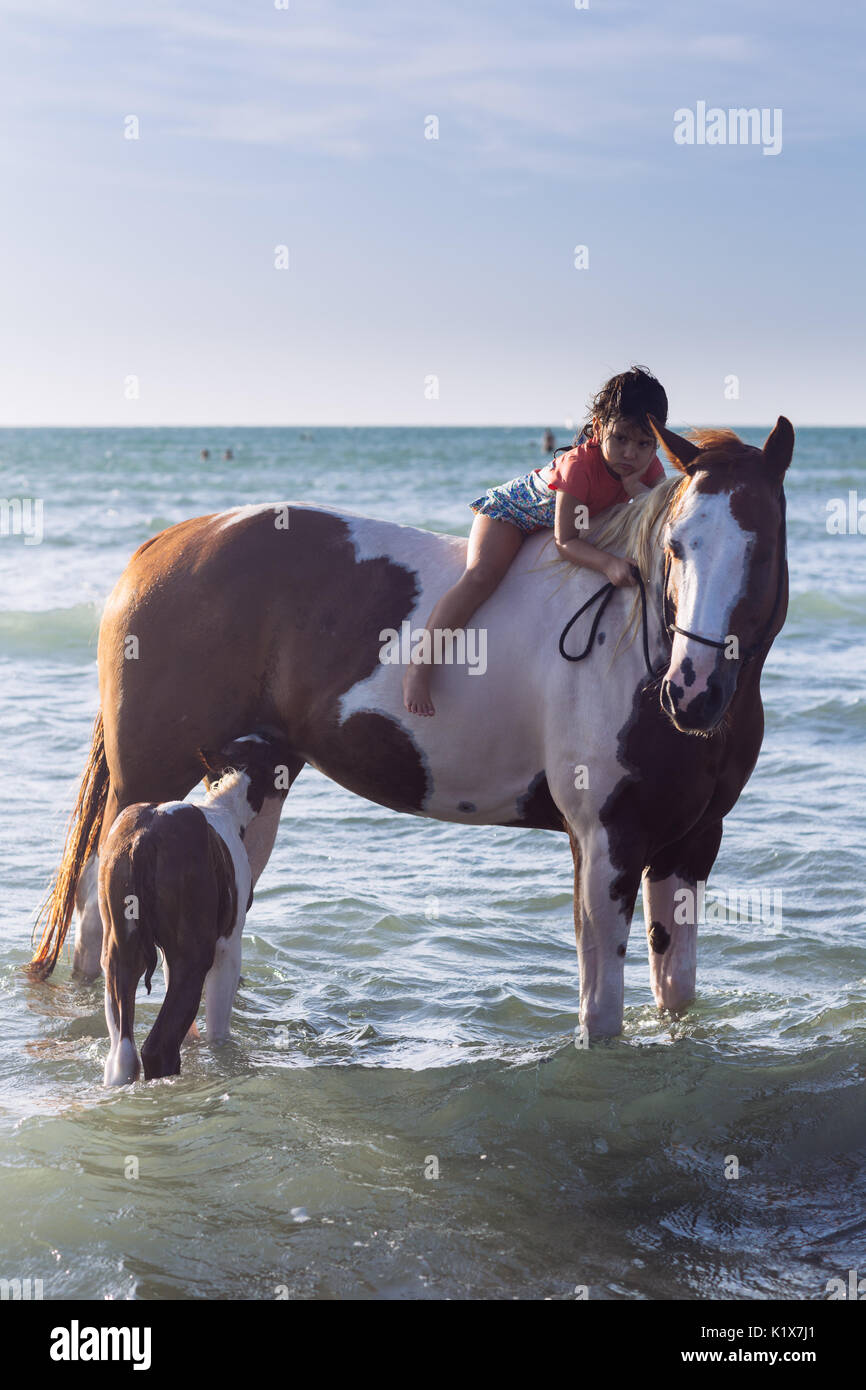 Girl mounting horse hi-res stock photography and images - Alamy