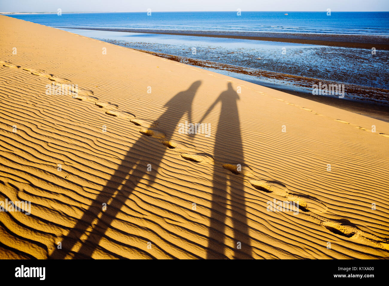 Hands in shadows hi-res stock photography and images - Alamy
