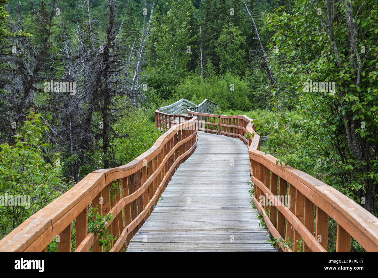 Wooden boardwalk, Eagle River, Nature Center Trail, Anchorage, Alaska ...