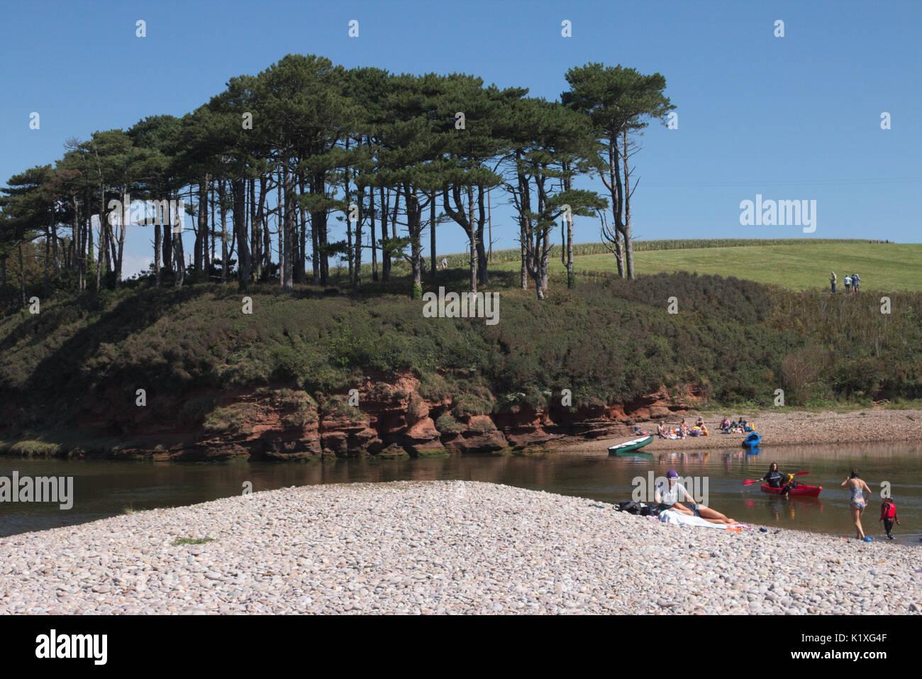 Otter Estuary, Budleigh Salterton Stock Photo - Alamy
