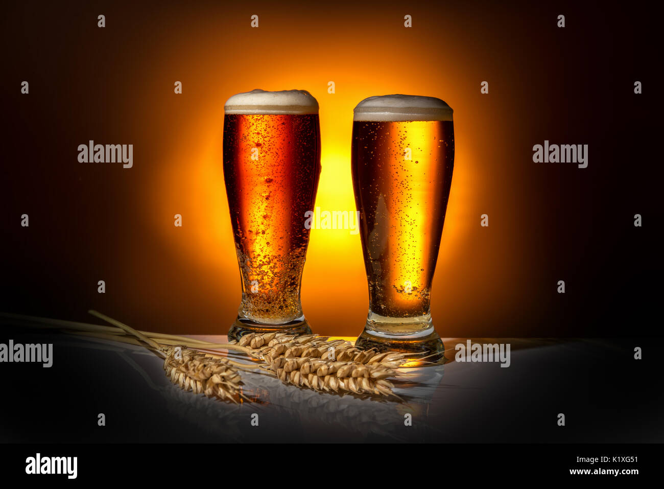 two dark glass frothy beer with ears of wheat on light background ...