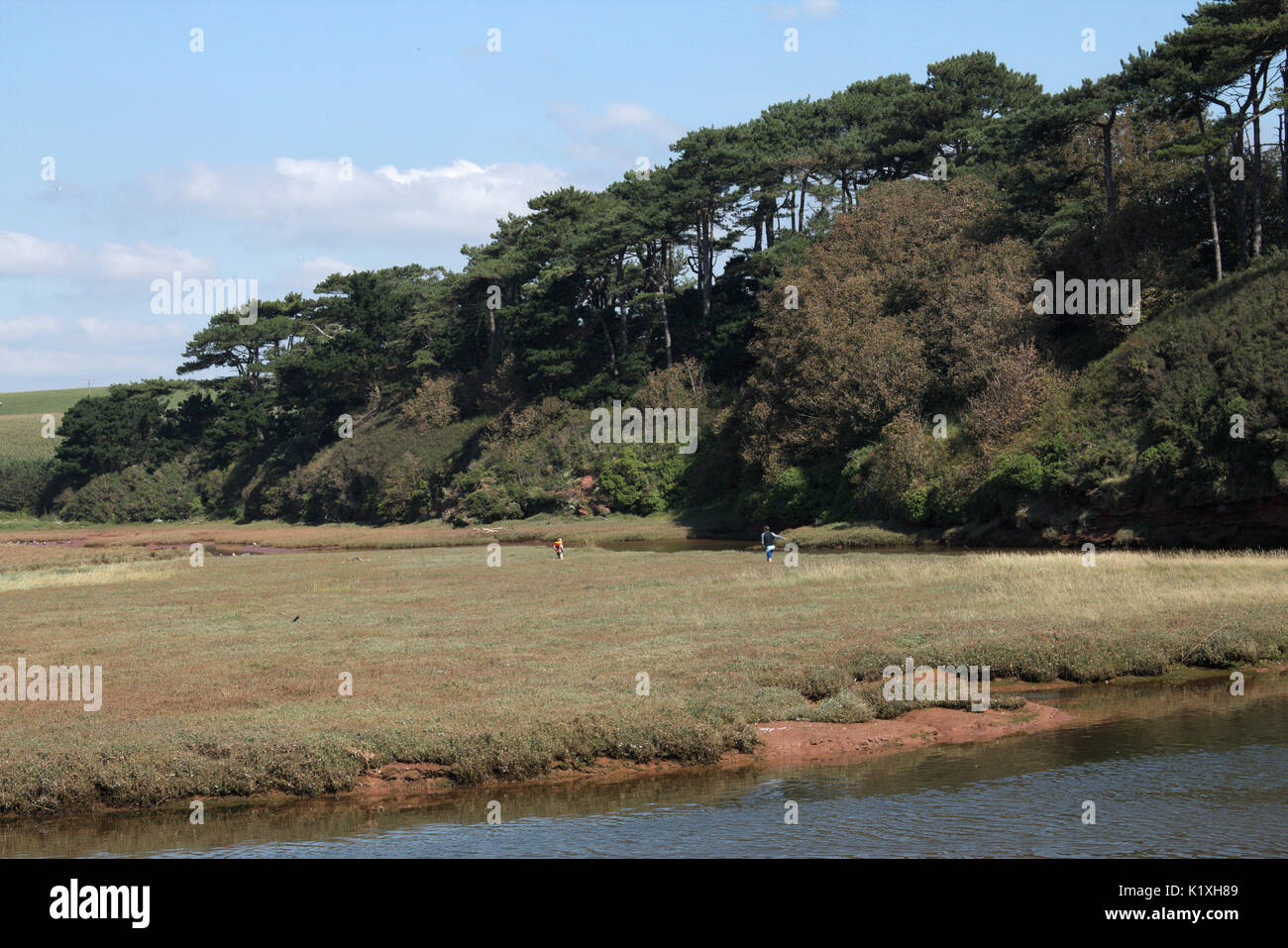 Otter Estuary, Budleigh Salterton Stock Photo - Alamy