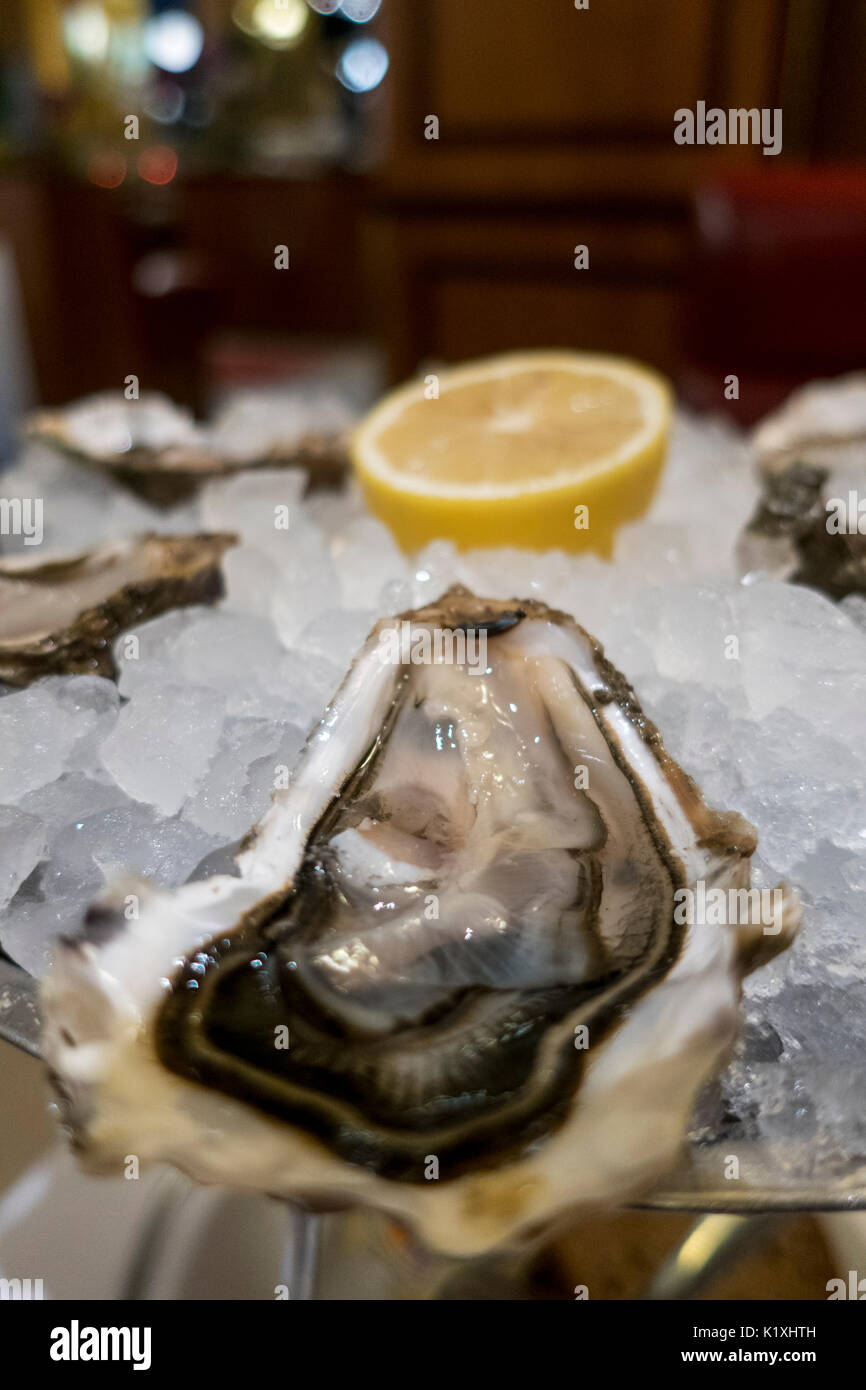 Open oyster hi-res stock photography and images - Alamy