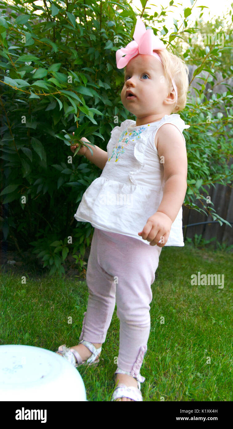 The first steps of a small child in nature on the green grass. August ...