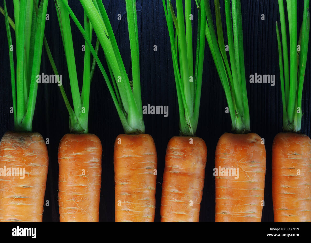 Fresh clean carrots densely packed near each other pattern. Carrots on ...