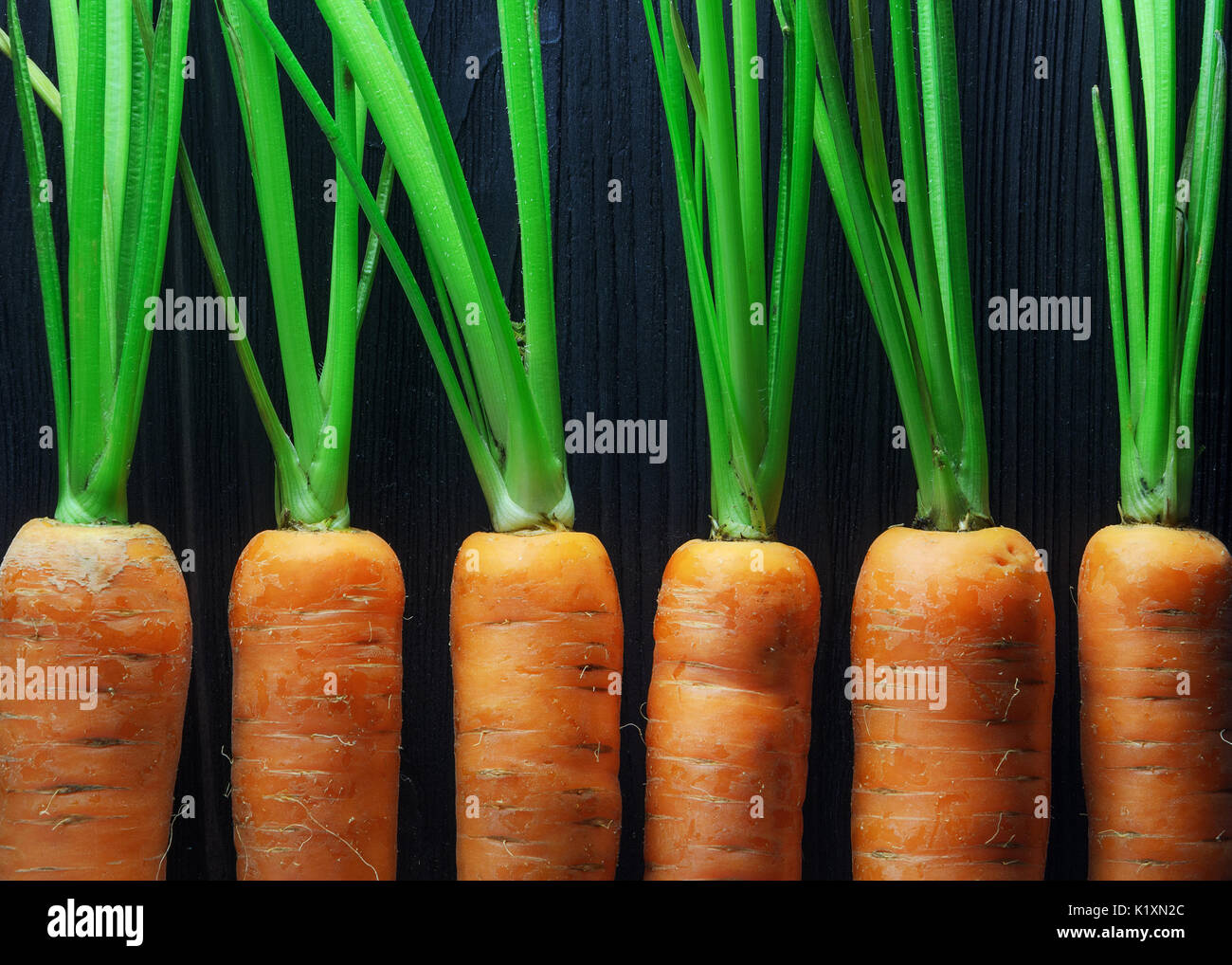 Fresh clean carrots densely packed near each other pattern. Carrots on ...