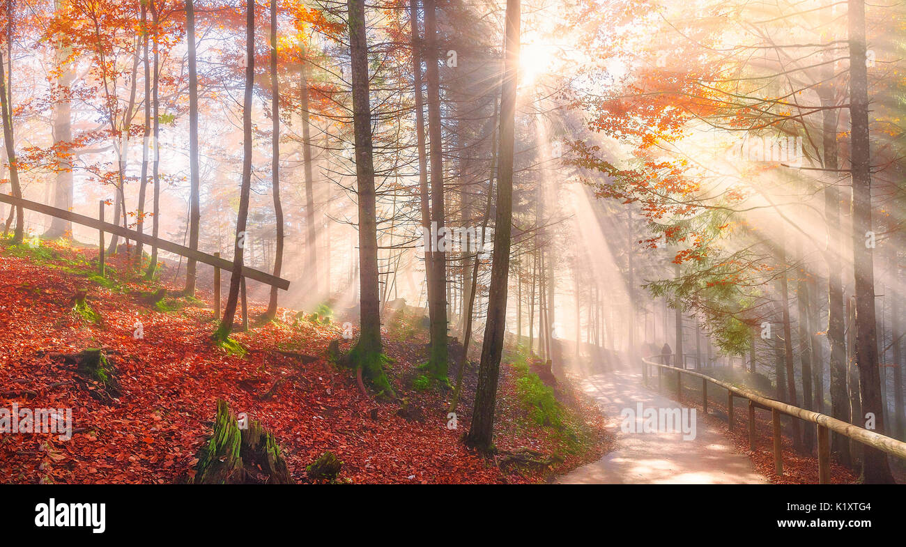 The october sun hi-res stock photography and images - Alamy
