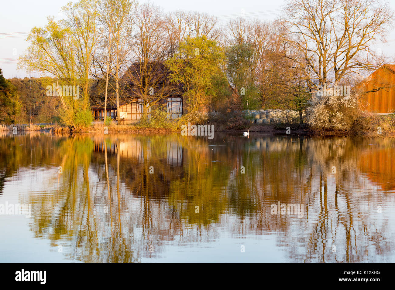 Pond scenery in rural hi-res stock photography and images - Alamy