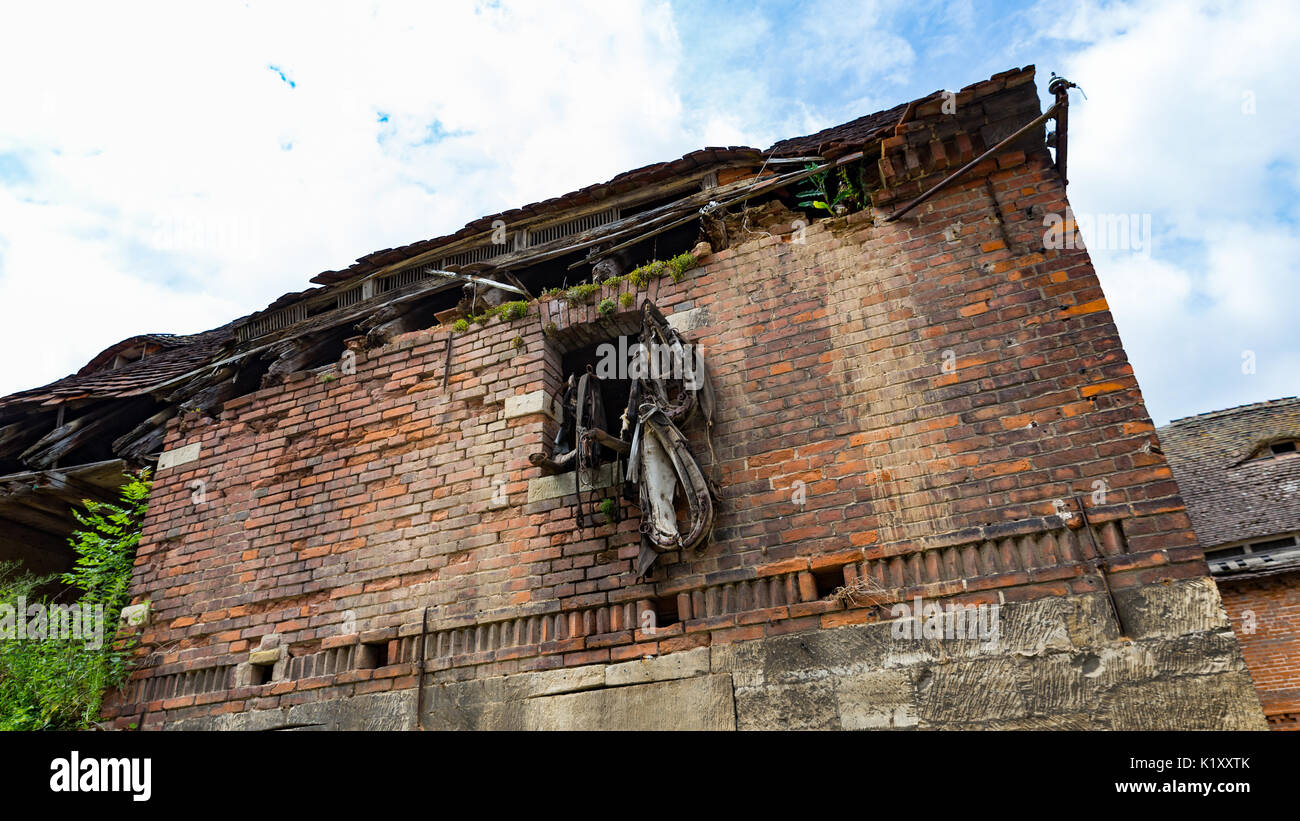 ruin of an old barn, partly broken down and overgrown with vegatation ...