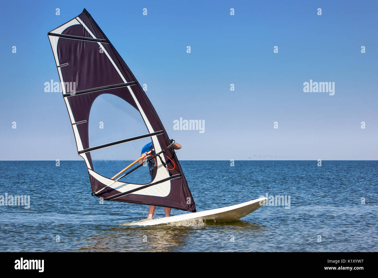 Windsurfer man in wetsuit windsurfing on board with colorful sail in ...
