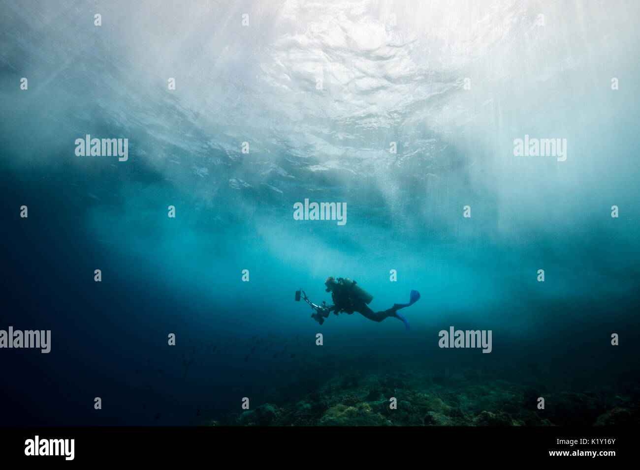 Scuba diver in surf zone, Christmas Island, Australia Stock Photo - Alamy