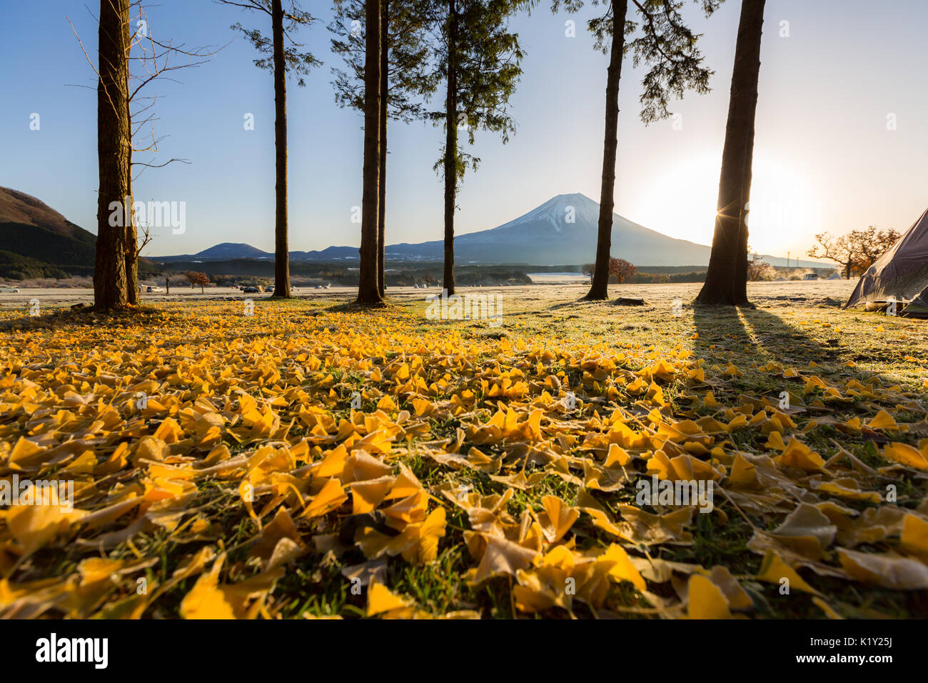 Mount Fuji Fujisan sunrise at Fumoto Japan Stock Photo - Alamy