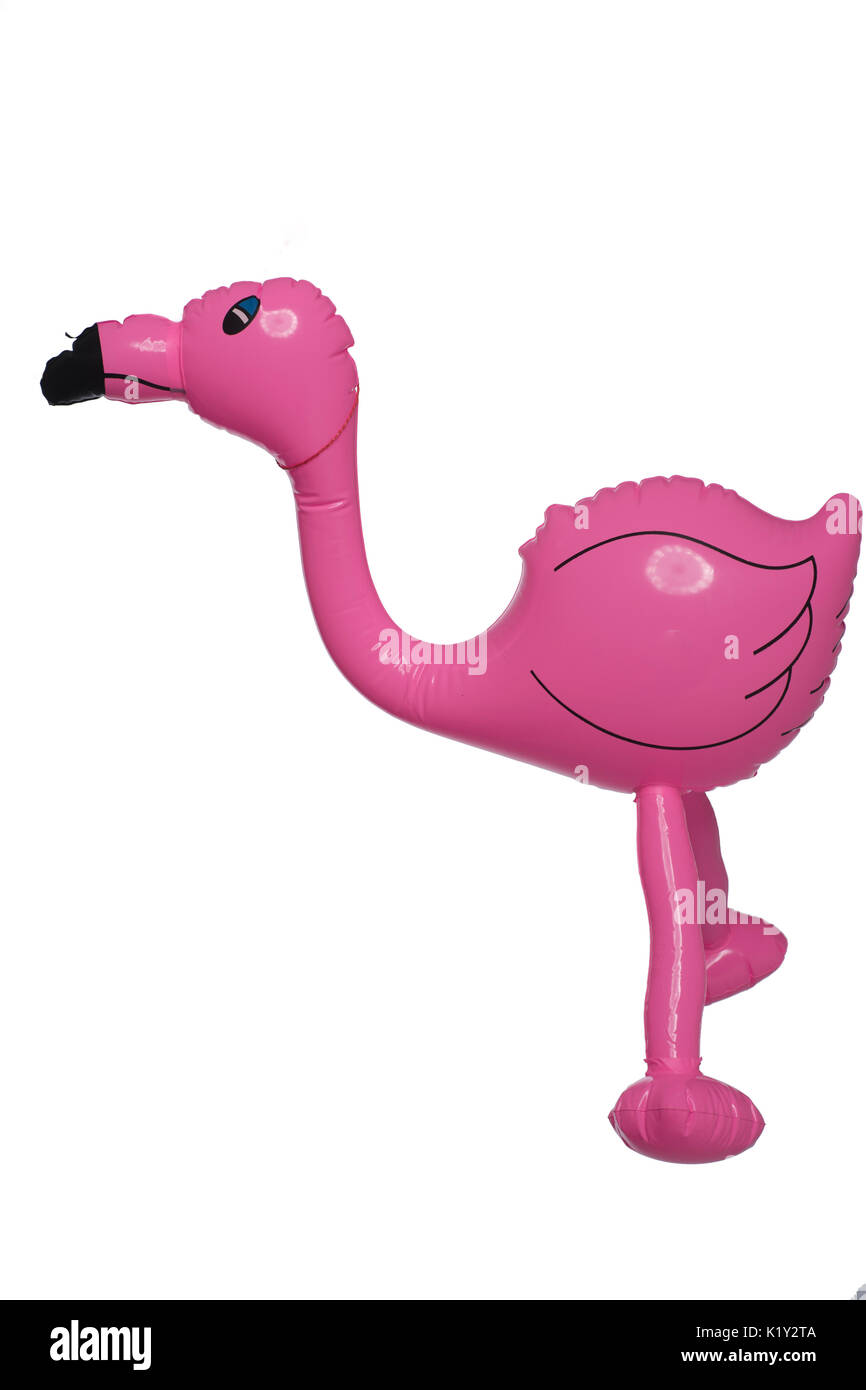 Pink flamingo plastic hi-res stock photography and images - Alamy