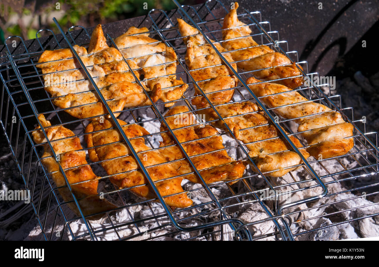Chicken fillet fried on grill-grill on a Sunny summer day. Diet. The ...