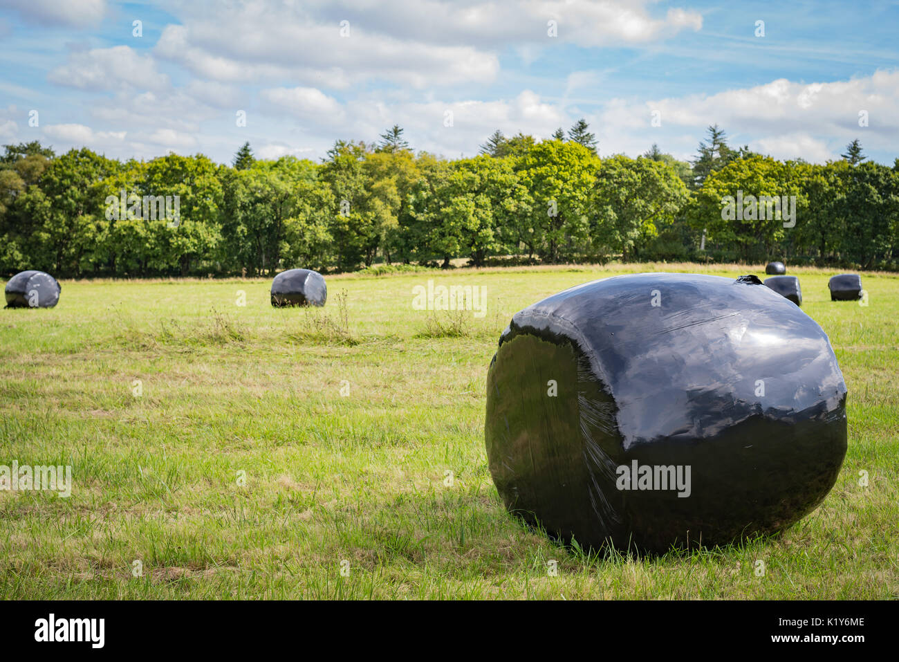 Bailed hay hi-res stock photography and images - Alamy