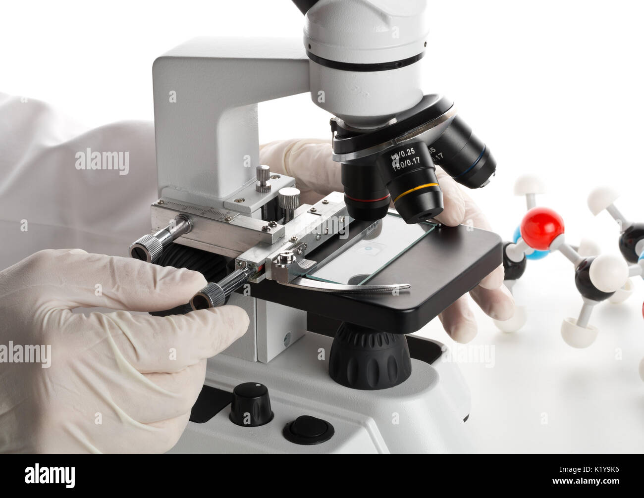 Research scientist working with specimen plate on microscope with ...