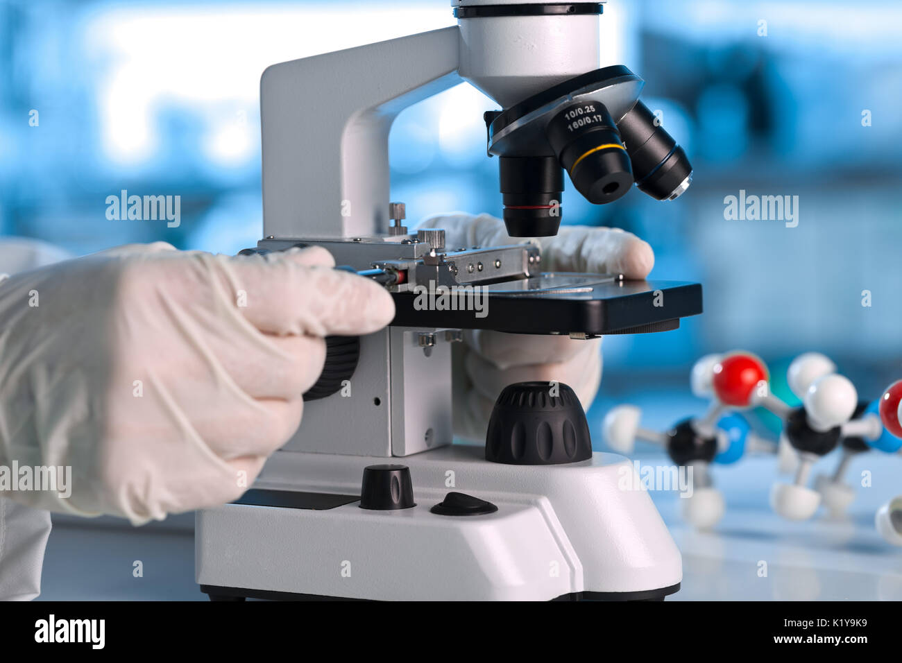 Research scientist working with specimen plate on microscope with ...