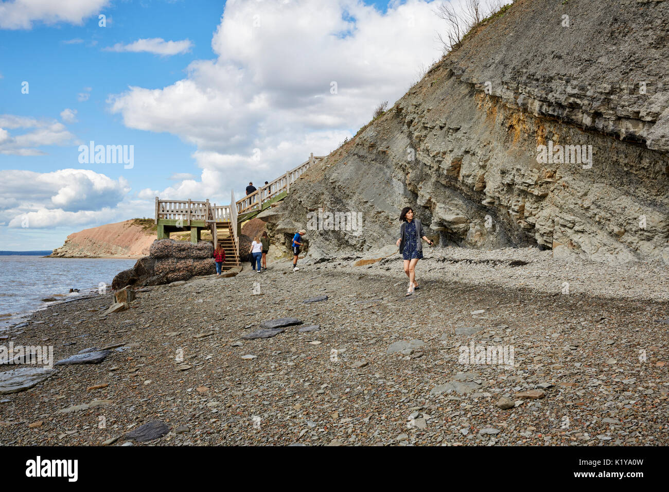 Joggins Fossil Cliffs, Nova Scotia, Canada Stock Photo - Alamy