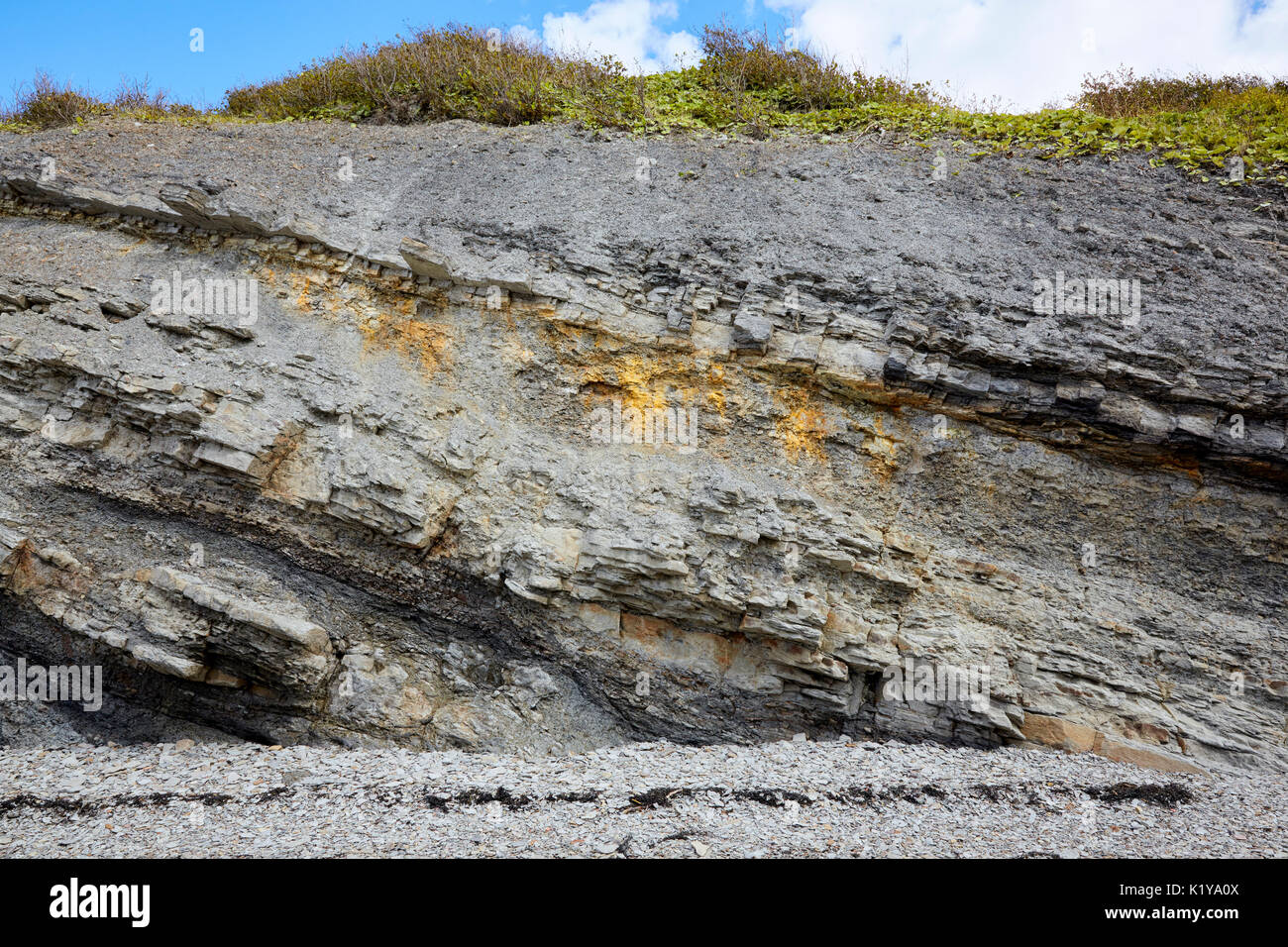 Joggins Fossil Cliffs, Nova Scotia, Canada Stock Photo - Alamy