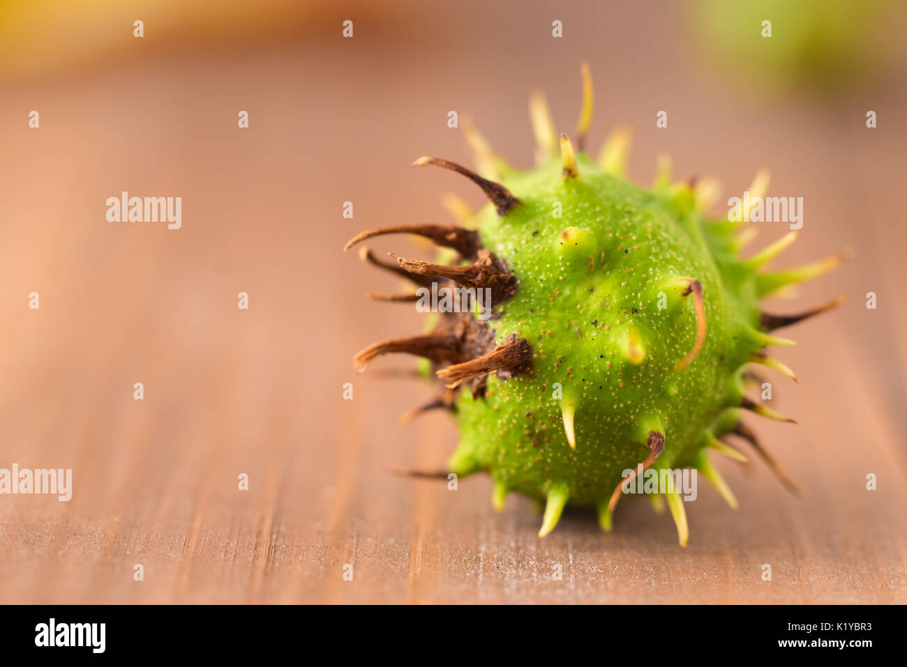 Spiked husk hi-res stock photography and images - Alamy