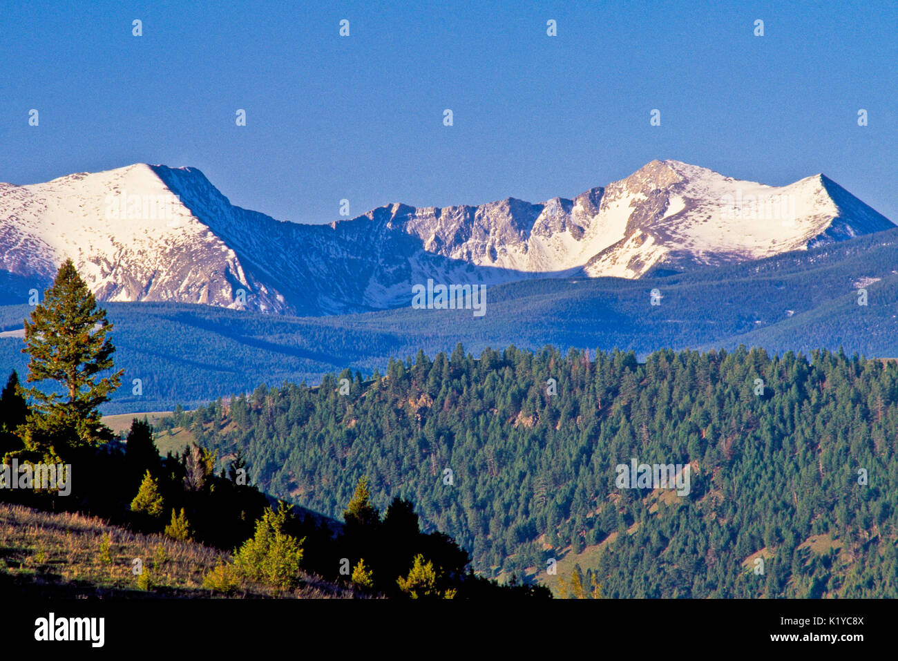 deer lodge mountain (left) and mount powell in the flint creek range ...