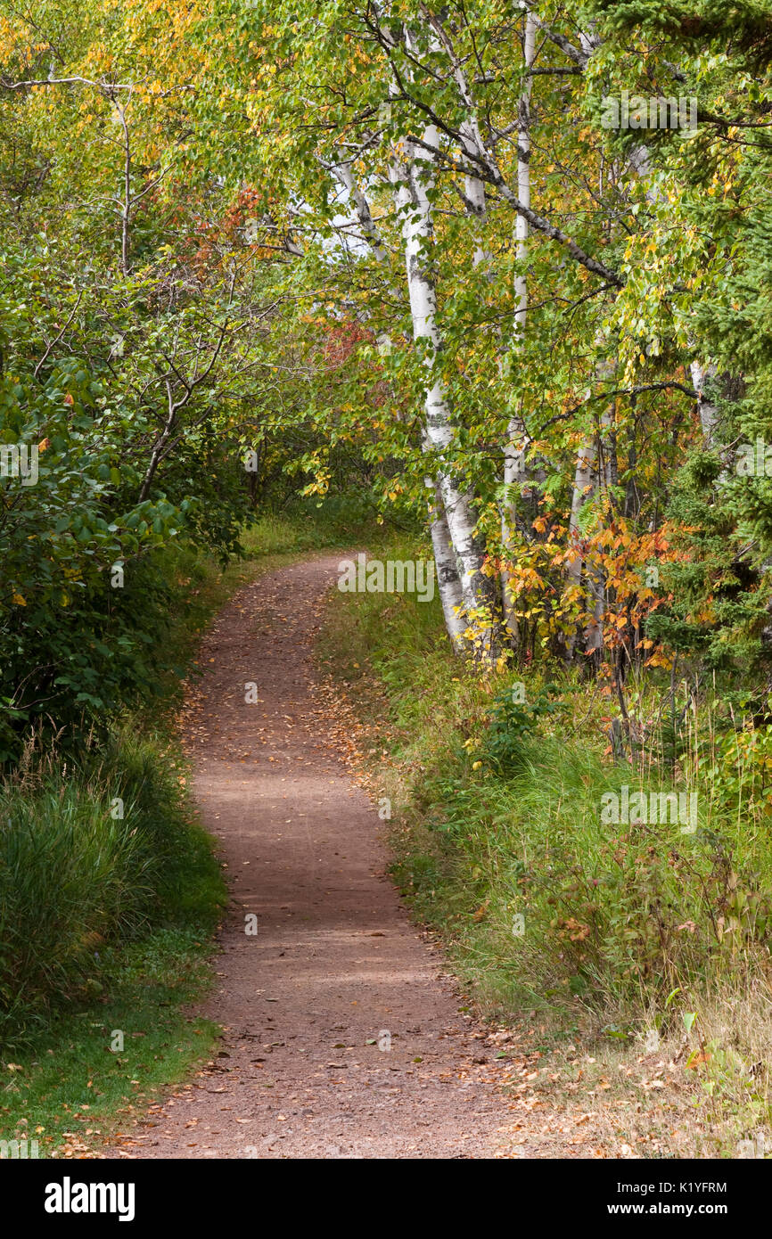 Walking trail fall foliage hi-res stock photography and images - Alamy