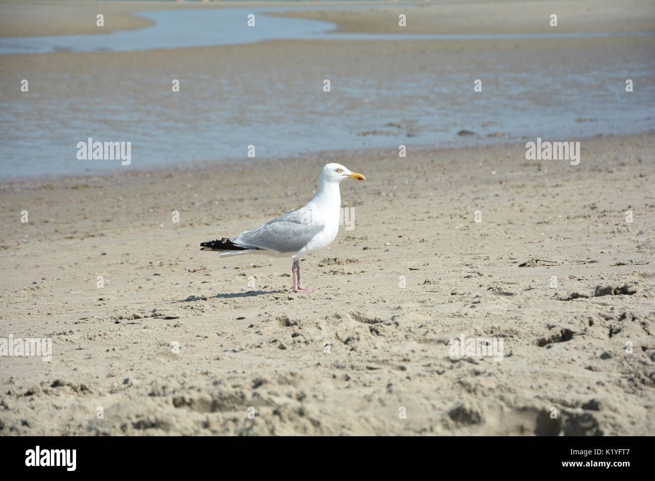 Stands freely hi-res stock photography and images - Alamy