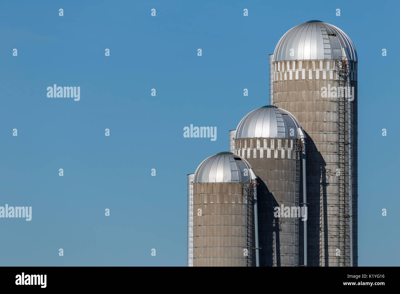 Silo Graph - Three Farm Silos Of Various Heights Stock Photo - Alamy