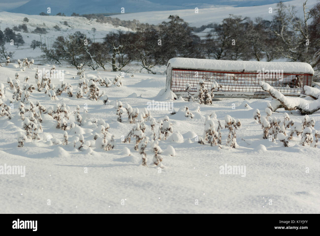 Rural countryside landscape with animal feeding box in thick snow on a ...
