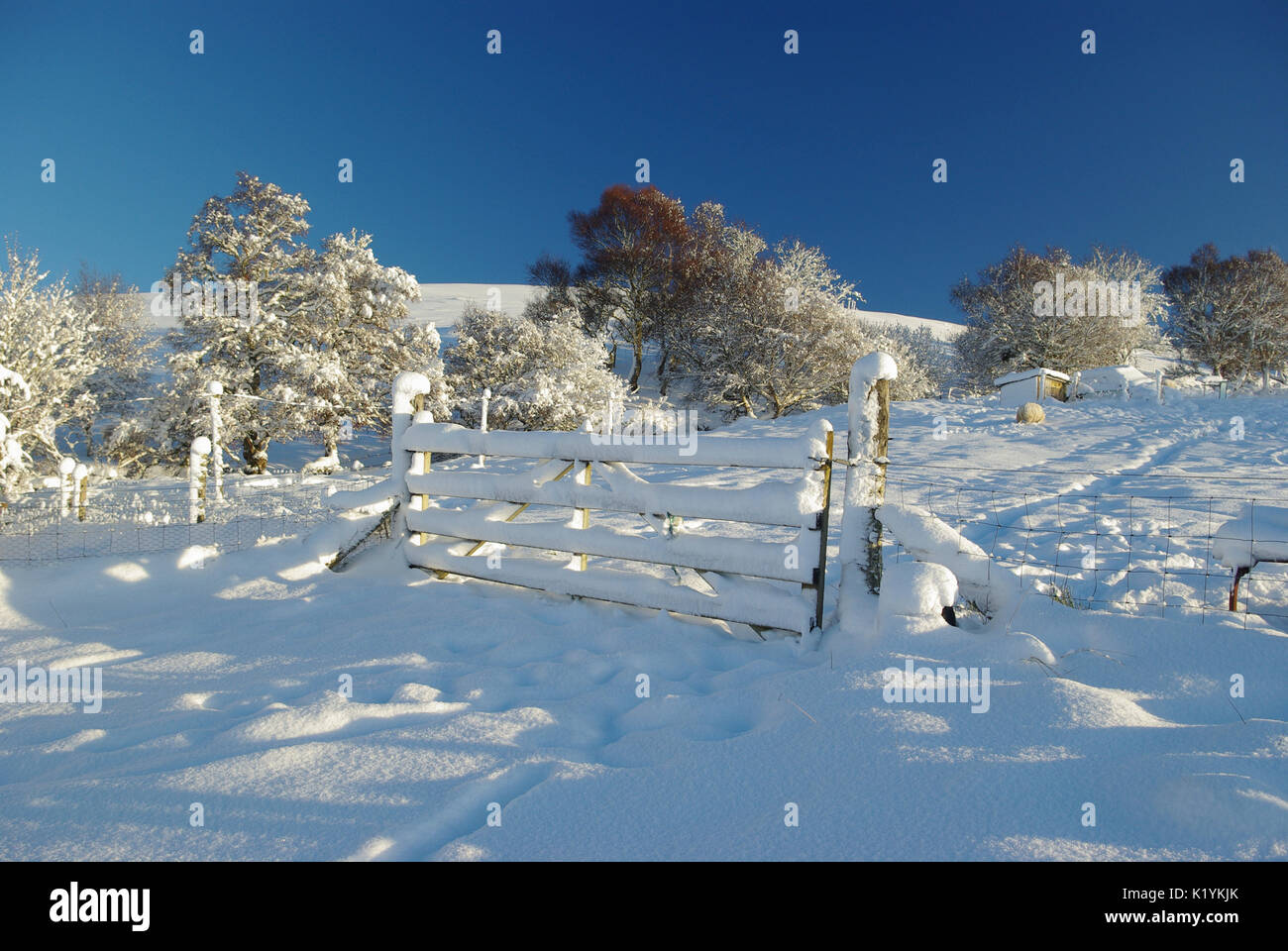 Rural countryside landscape in thick snow on a clear sunny winters day ...