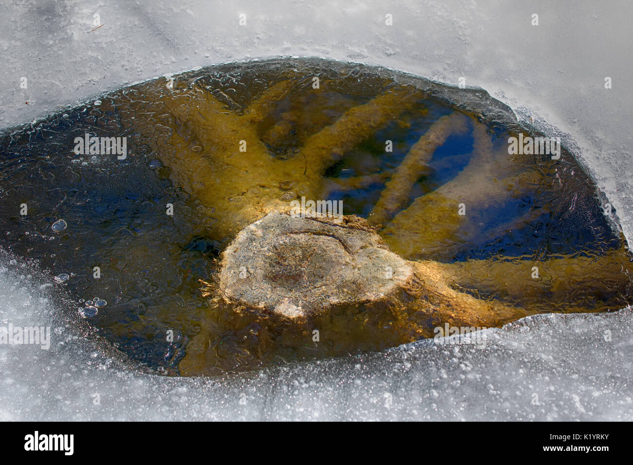 Springtide. Environmental Studies - natural science. First thaw in ice ...