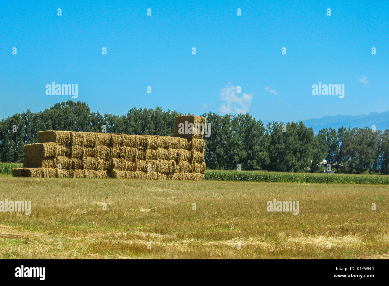Rectangular field hi-res stock photography and images - Alamy