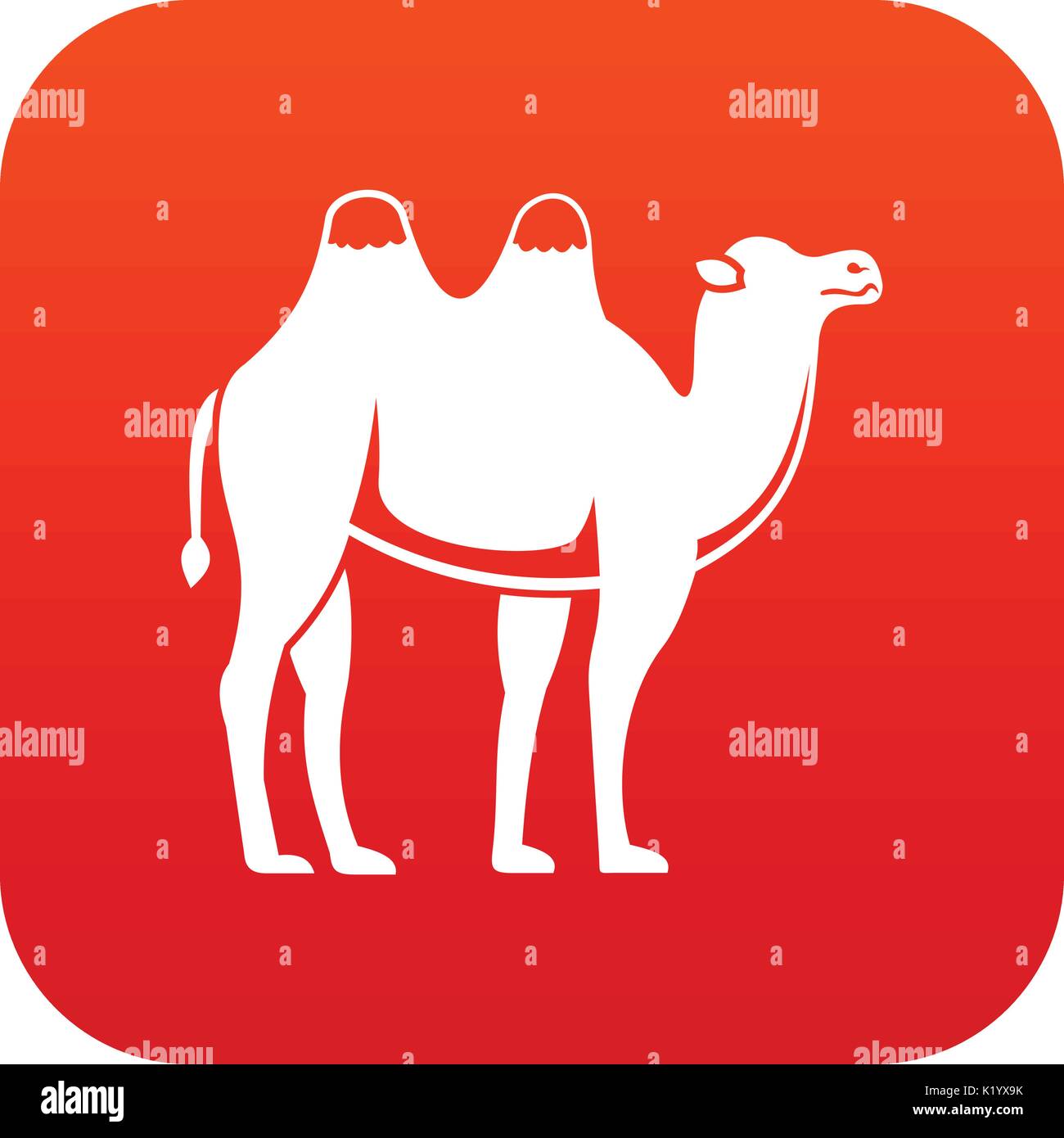 Camel ride dubai Stock Vector Images - Alamy