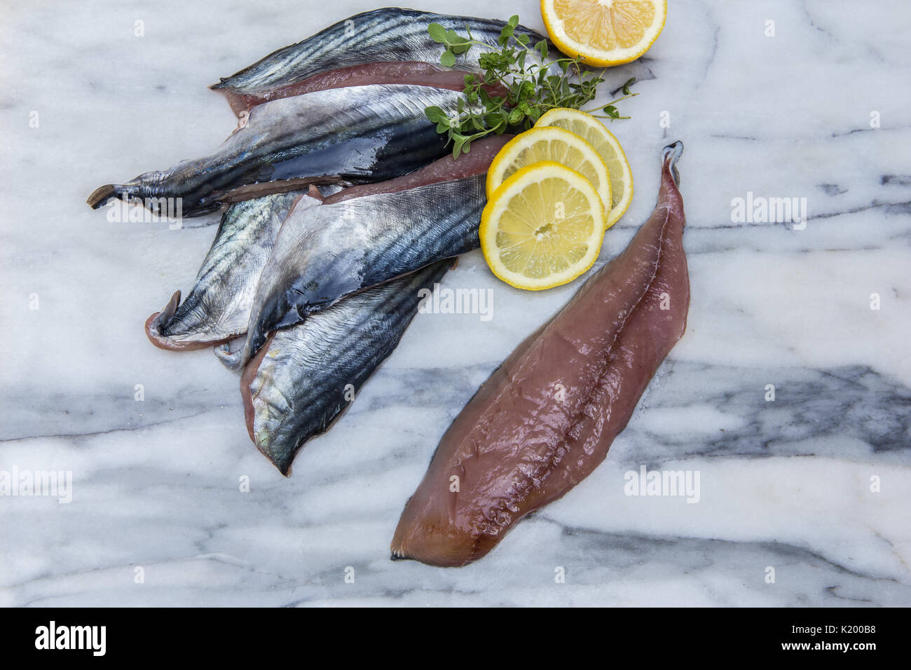 Bonito Fish High Resolution Stock Photography and Images - Alamy