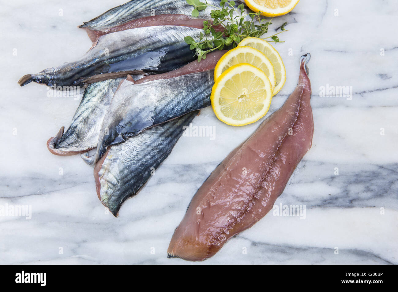 Bonito Fish High Resolution Stock Photography and Images - Alamy