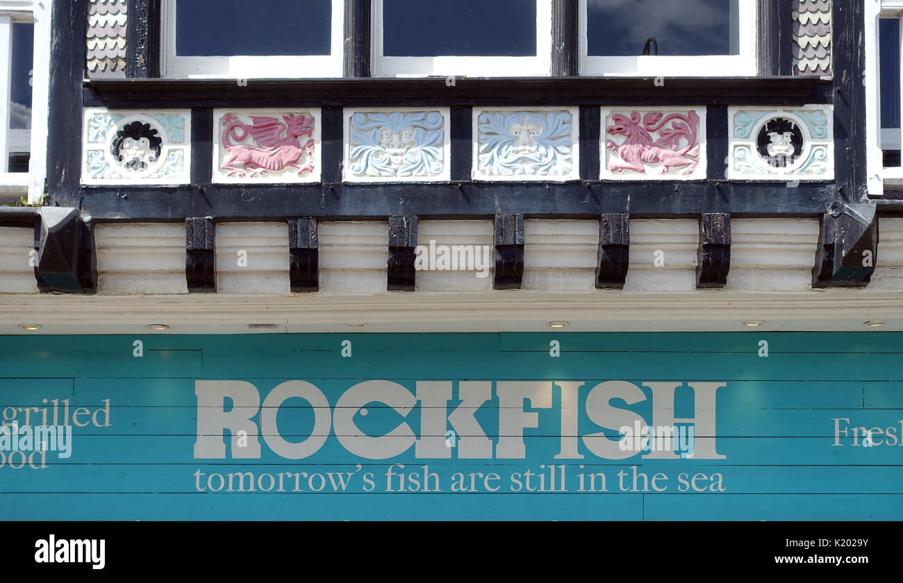 Blue rockfish hi-res stock photography and images - Alamy