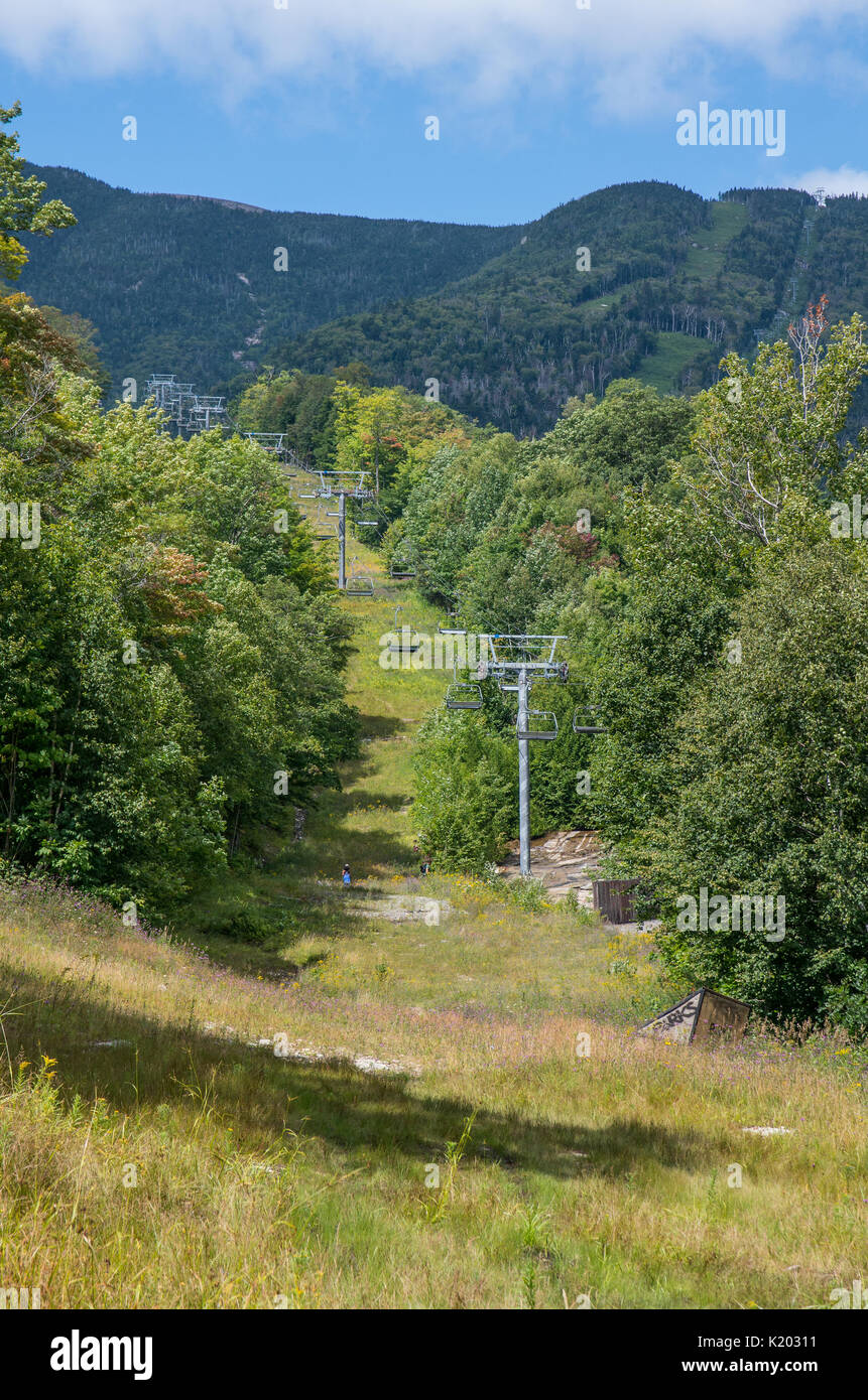 Lifts trees hi-res stock photography and images - Alamy