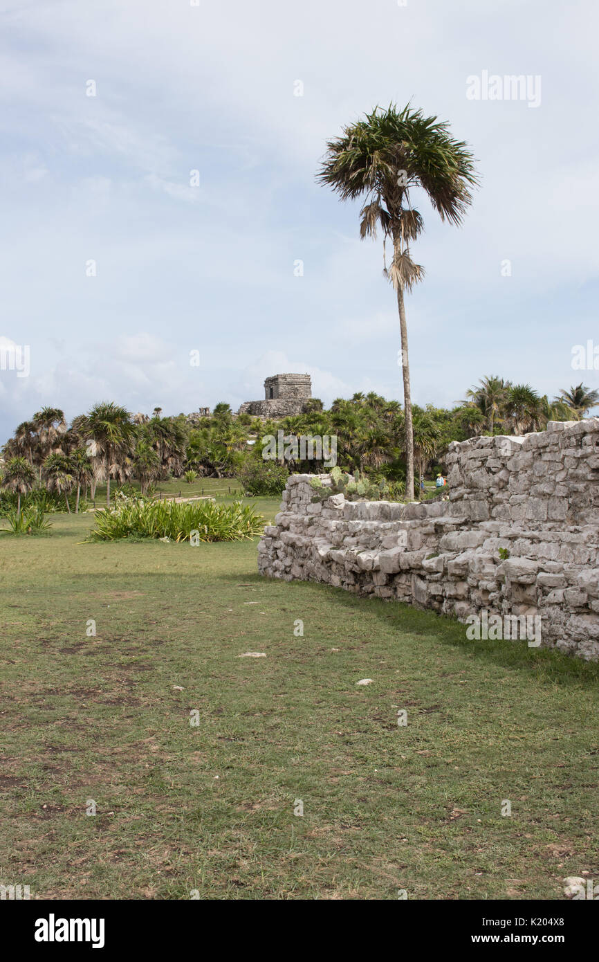 Beautiful cliff top Mayan ruins of Tulum with tropical trees and green ...