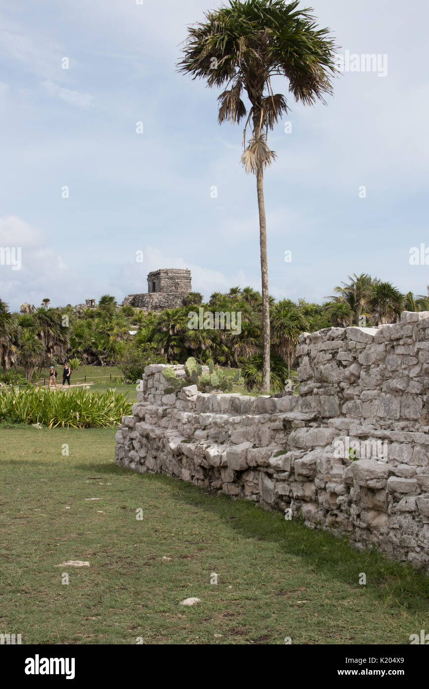 Beautiful cliff top Mayan ruins of Tulum with tropical trees and green ...