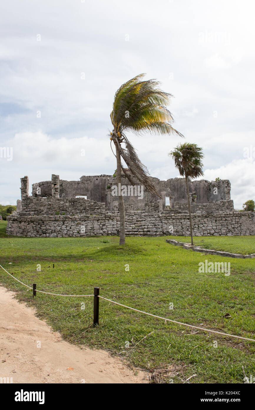 Beautiful cliff top Mayan ruins of Tulum with tropical trees and green ...