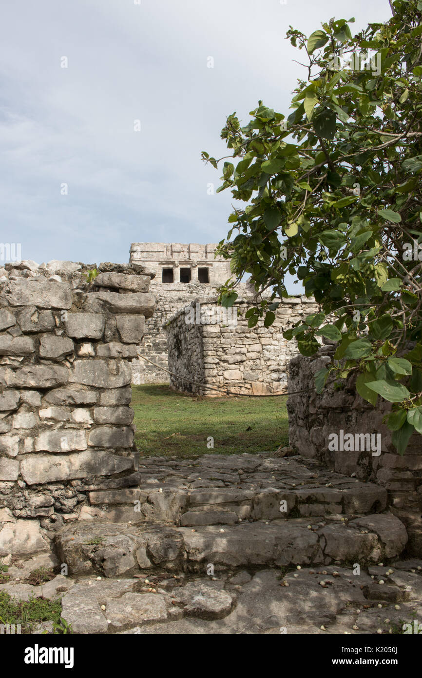 Beautiful cliff top Mayan ruins of Tulum with tropical trees and green ...