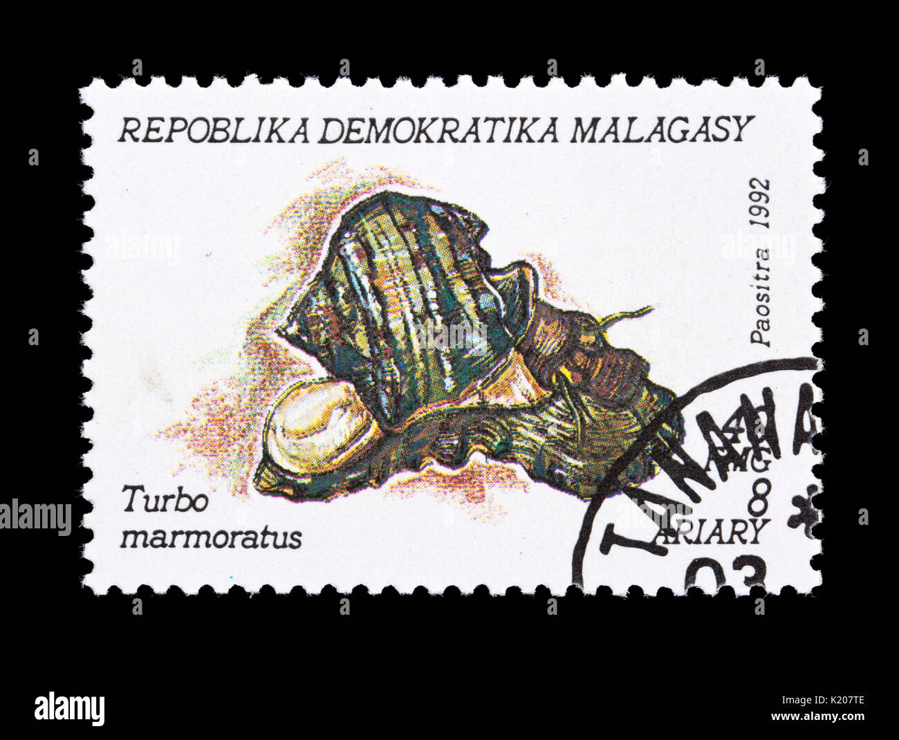 Green turban hi-res stock photography and images - Alamy