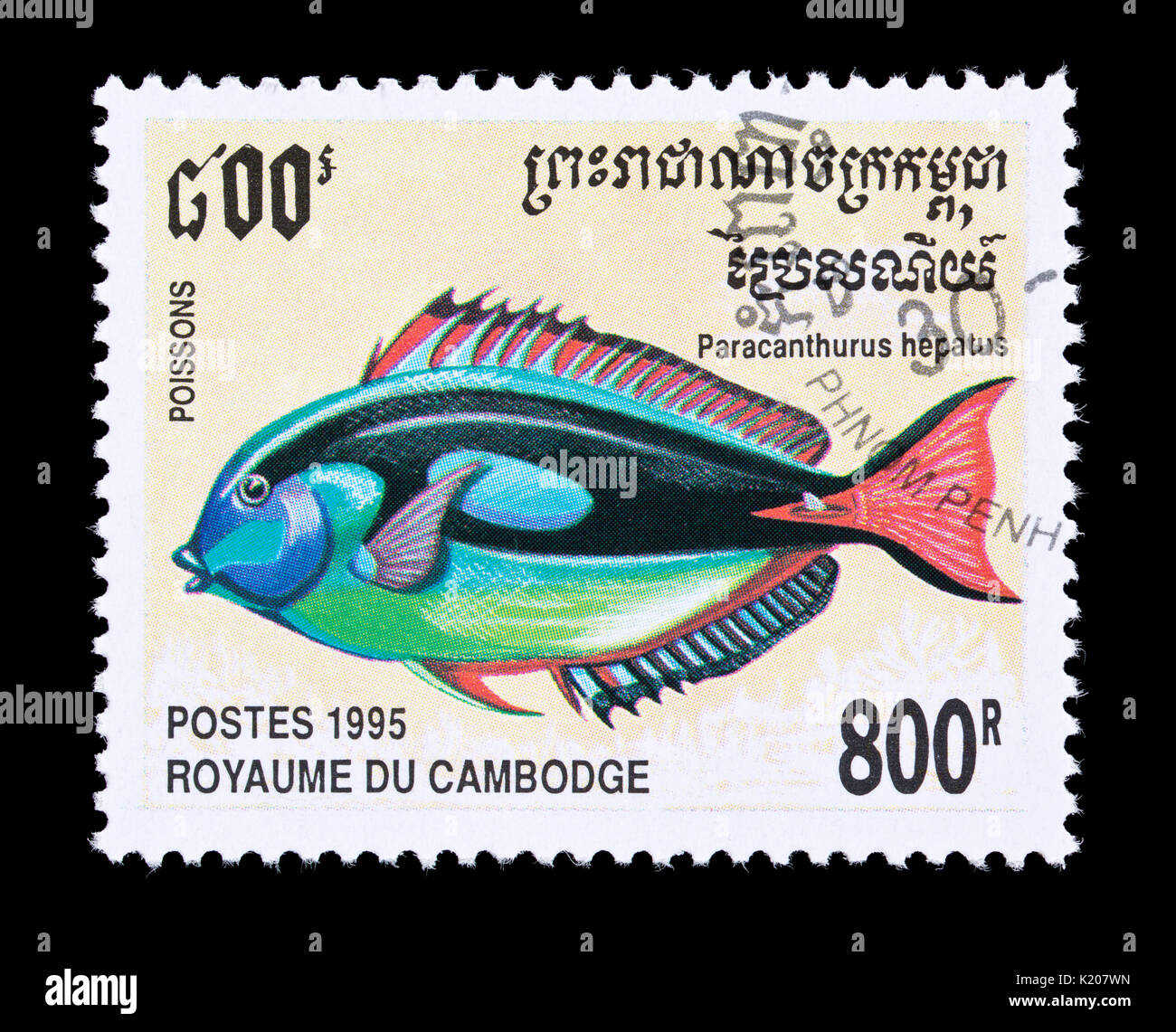 POstage stamp from Cambodia depicting a Common surgeon (Paracanthurus ...