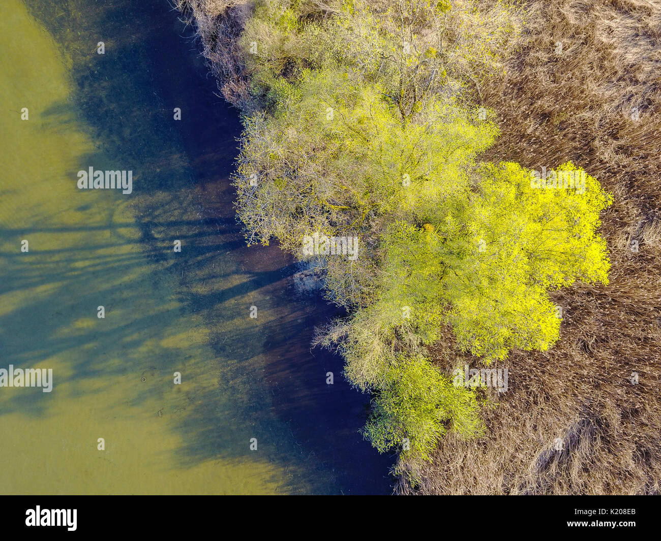 Aerial view, tree from above, aerial view, Prien am Chiemsee, Upper ...