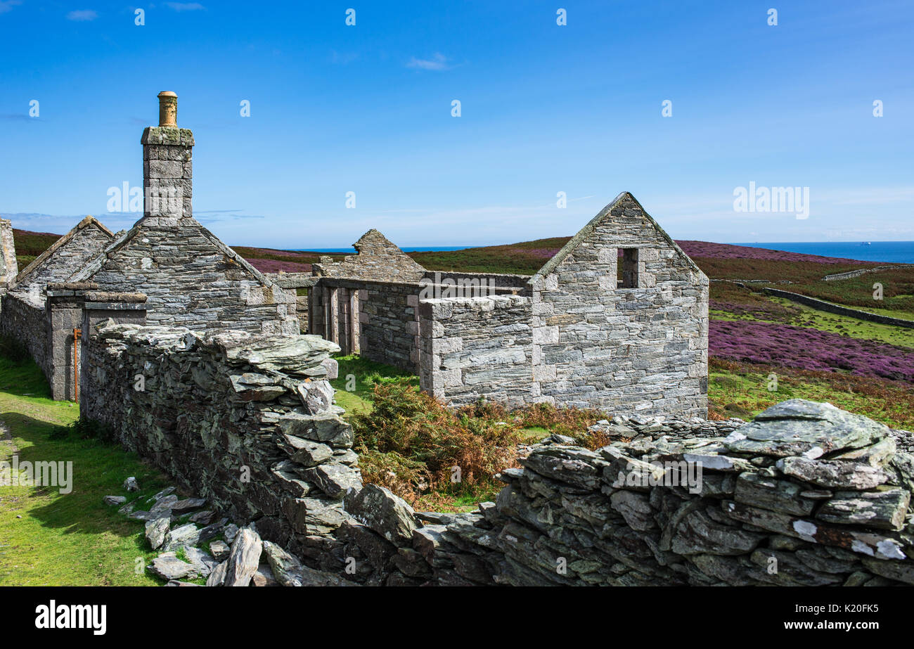 Old Smithy buildings on Calf of Man Stock Photo - Alamy