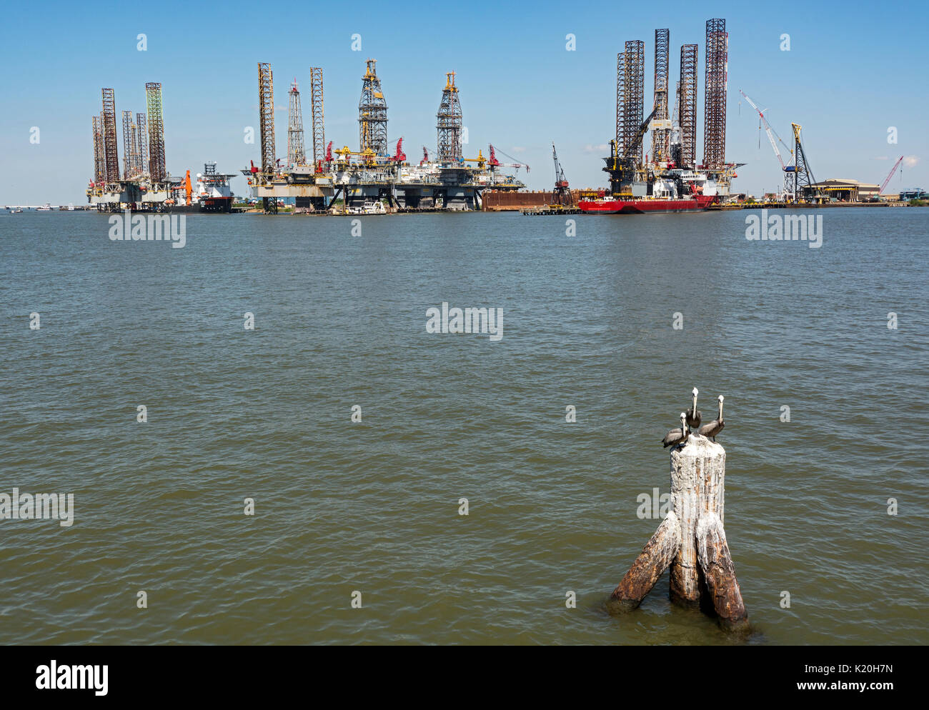 Texas, Galveston, harbor, pelicans on piling, offshore drilling rig and ...