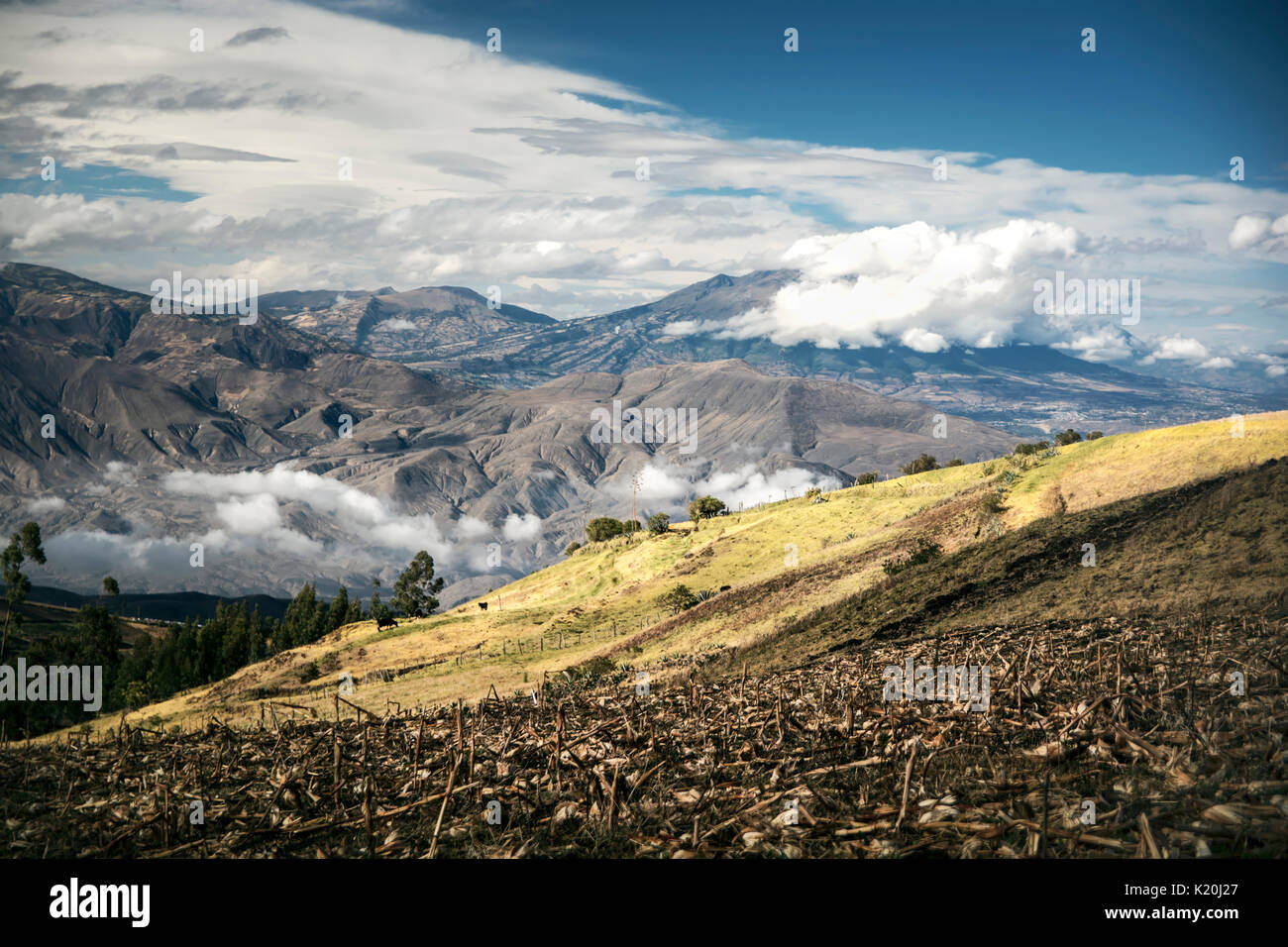 Farming in Ecuador Stock Photo - Alamy