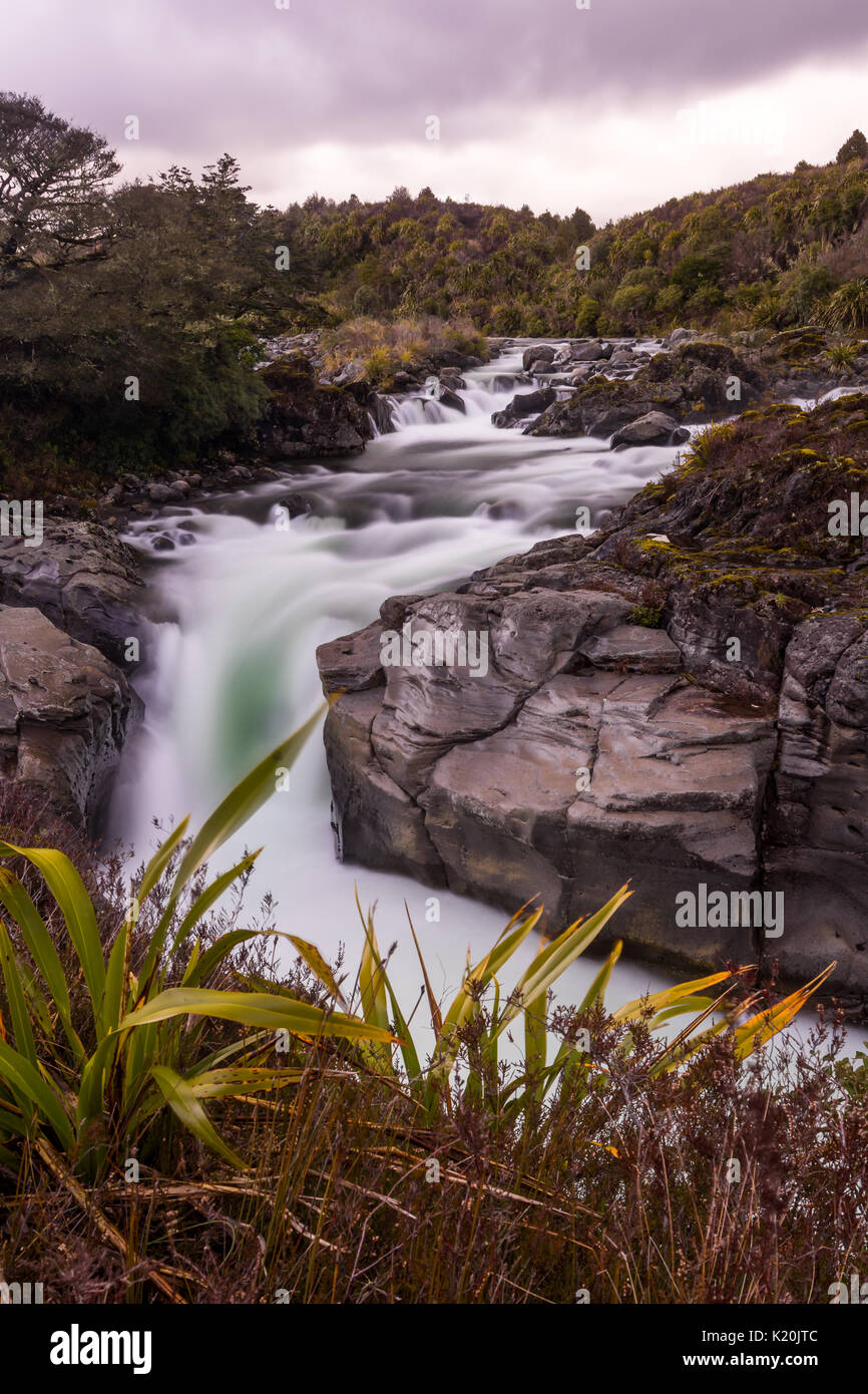 Mahuia Rapids at Tongariro National Park Stock Photo - Alamy