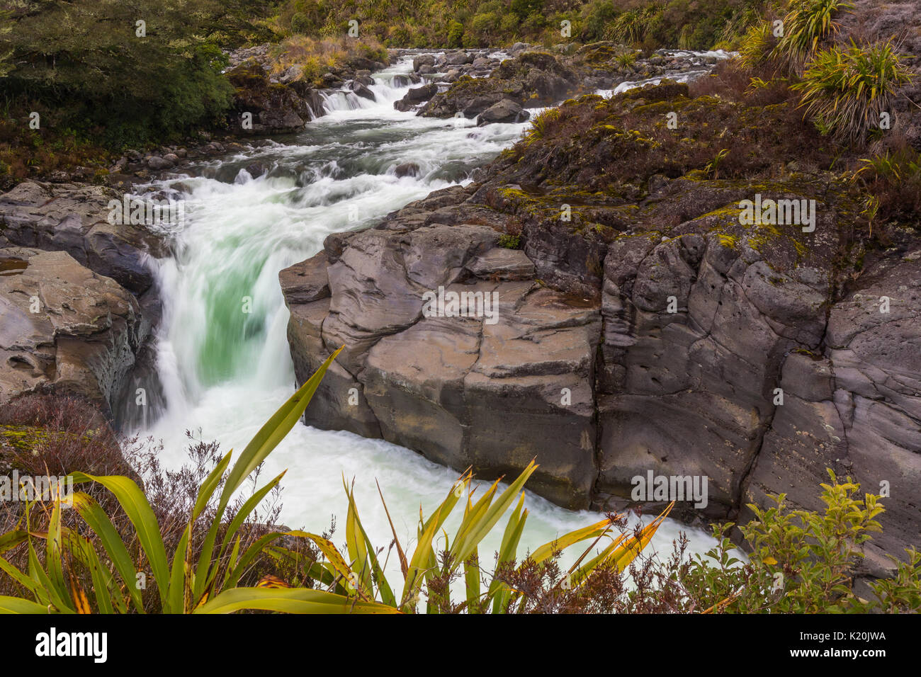 Mahuia Rapids at Tongariro National Park Stock Photo - Alamy