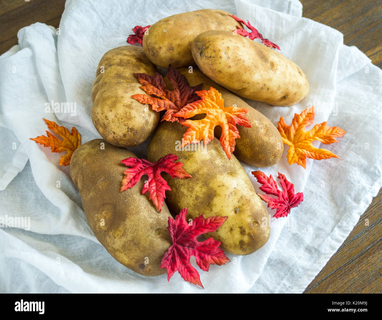 still life 6 potatoes covered with autumn leaves and piled on a white ...